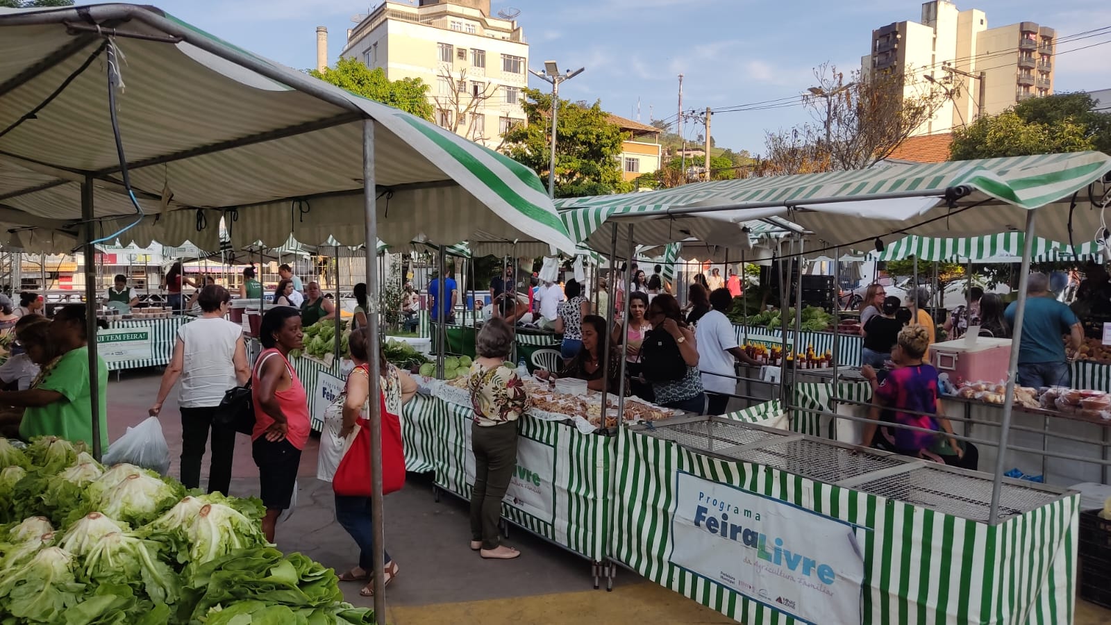 Feira Livre do Produtor Rural acontece nesta quinta-feira em Santos ...